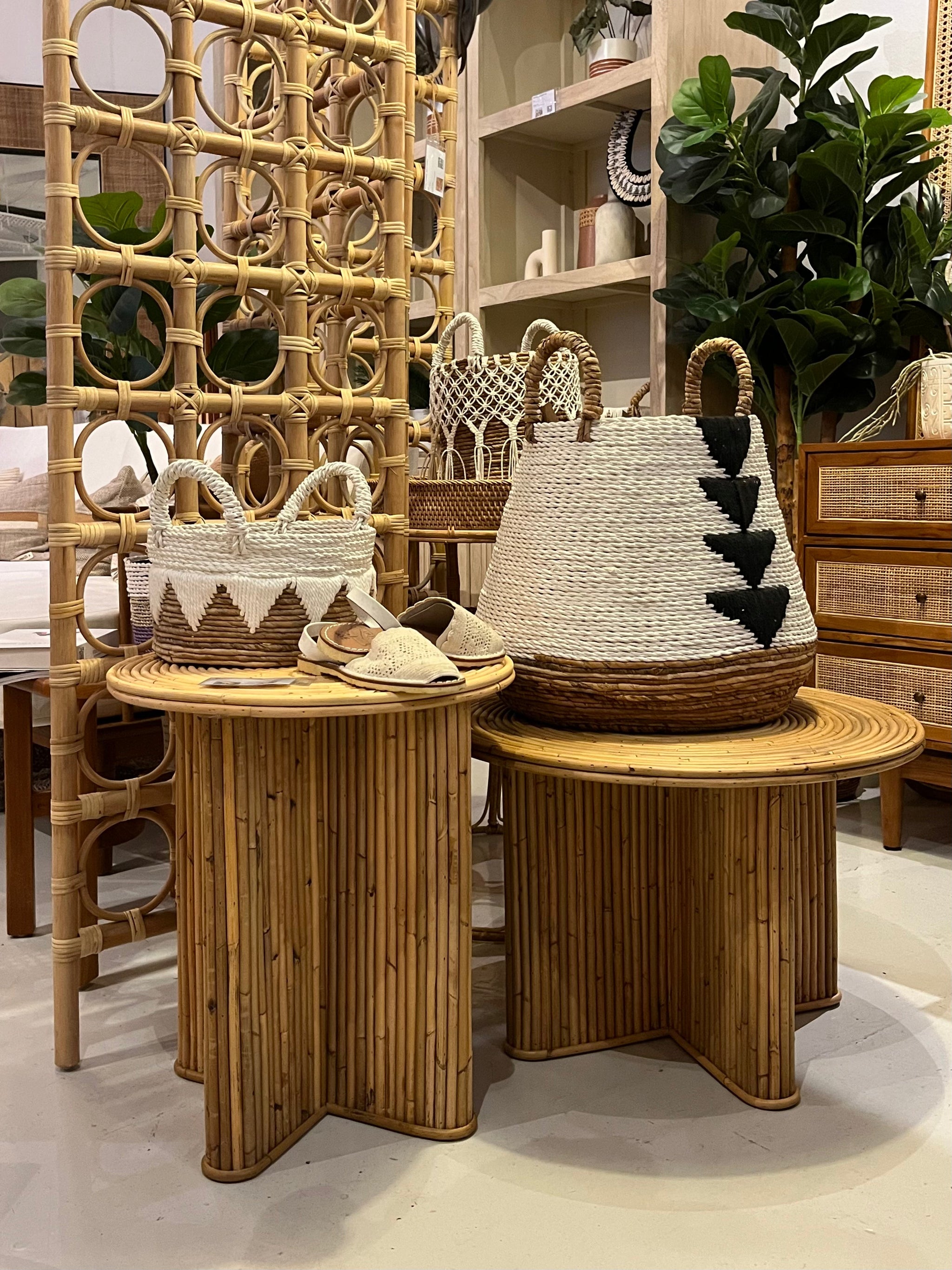 Collections – Rooma SG