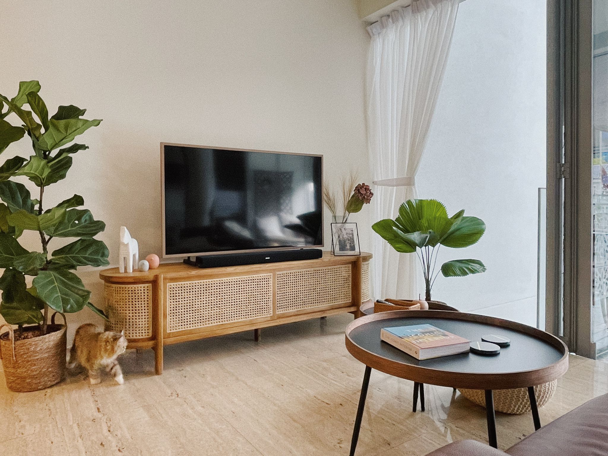 Collections – Rooma SG